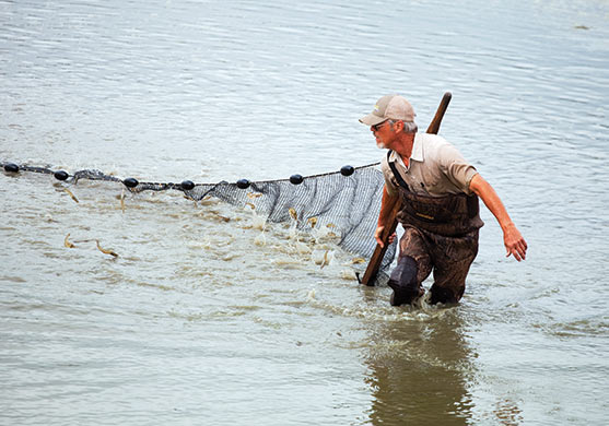 Greene Prairie featured in Auburn’s AG Illustrated – Greene Prairie Shrimp